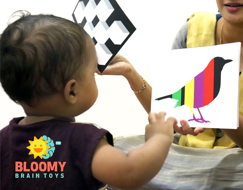 Visual Stimulation - Baby Flash Cards | Buy Baby Flash Cards Online ...